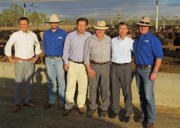 Nittetsu Sumikin Bussan visit Kerwee - Stockyard Beef