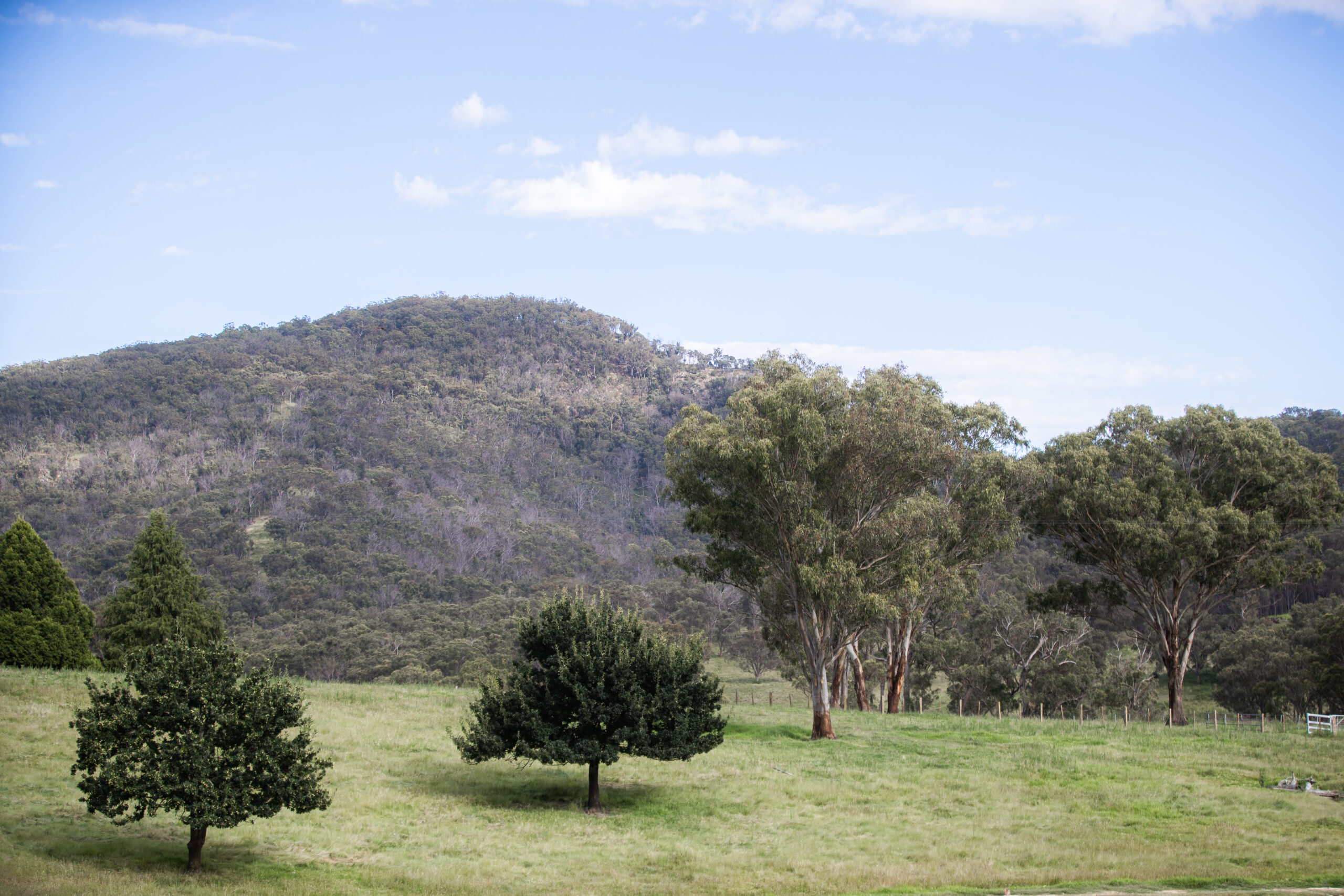 Stockyard Beef named State Finalist in Telstra Business Awards
