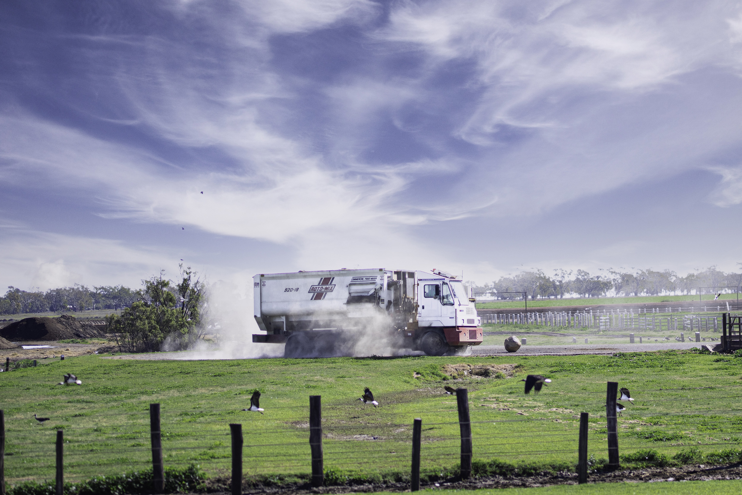Feeding Hand - Jondaryan, QLD - Stockyard Beef